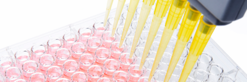 Changing cones between two calibrations: suggested protocols